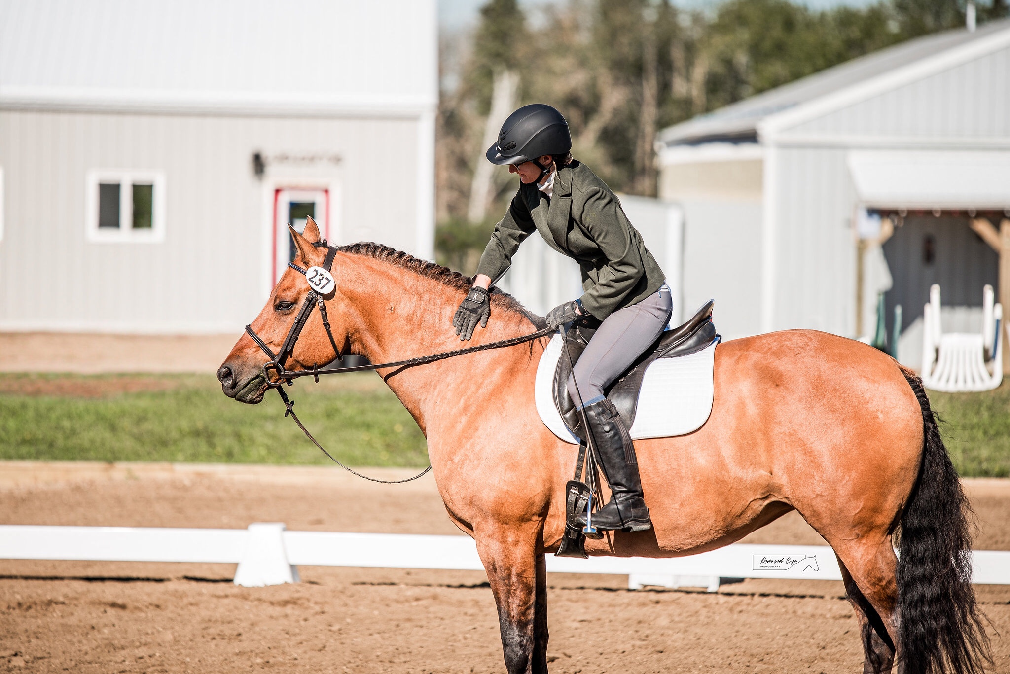 Clairety Horsemanship